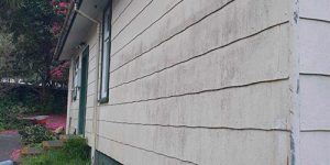 Asbestos Removal and Testing Wellington